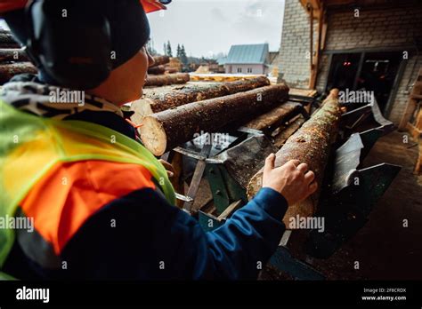 Log Sorting Hi Res Stock Photography And Images Alamy