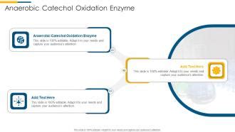 Anaerobic Catechol Oxidation Enzyme Ppt Template Cpp PPT Slide