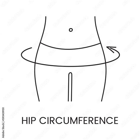 Hip Circumference Line Icon In Vector Human Body Illustration With Arrows Stock Vector Adobe