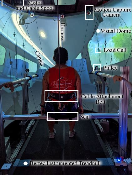 Figure 1 From Reactive Postural Control During Sit To Stand Motion