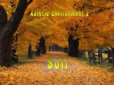 PPT Soil PowerPoint Presentation Free To View Id 3b5b40 ZDFhN