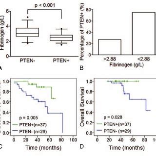 Correlation Of Fib Levels With PTEN A Higher Fib Levels Were Found In Download Scientific