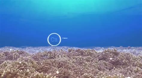 Vinoth Kumar On Linkedin Since 1934 👍