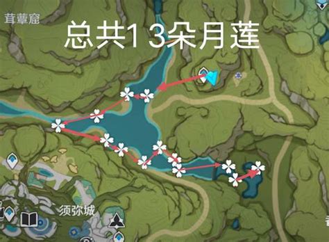 原神月莲去哪里采集 原神月莲采集路线汇总 非凡软件站