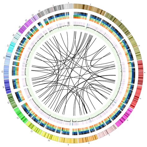 用circos表示基因组上的突变密度 Zhongxu Blog