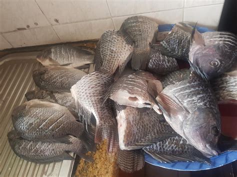 Imeldas Fish Bay Added A New Photo Imeldas Fish Bay