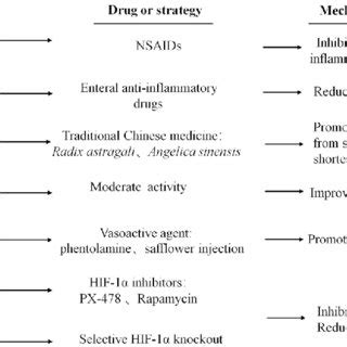 Strategies For The Prevention And Treatment Of HO Download Scientific Diagram