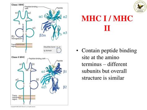 Ppt Chapter 3 Powerpoint Presentation Free Download Id632707