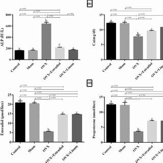 Point Counting Method Was Used To Estimate The Volume Of Different Download Scientific Diagram