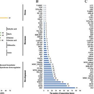 Analysis Of Cis Acting Regulatory Elements CREs And Transcription Download Scientific Diagram