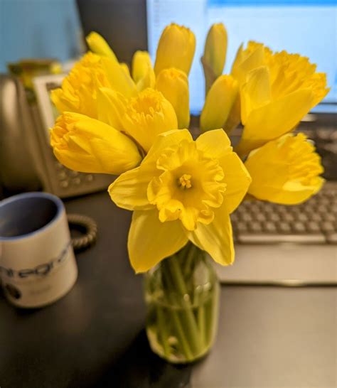 Daniel Holliday Posted On Linkedin