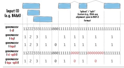 Lesson 14 Visualizing Alignment Results Bioinformatics For Beginners