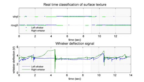 Real Time Classification Of Surface Texture The Top Panel Shows The