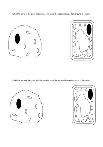 Cells And Observing Cells Teaching Resources