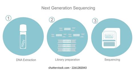 Next Generation Sequencing Workflow：超过 11 张免版税可许可的库存插图与绘画 Shutterstock
