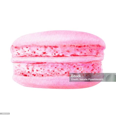 디테일한 질감과 생생한 색상을 가진 핑크 마카롱의 수채화 그림 격리된 클립 아트는 베이커리 브랜딩 디저트 메뉴 음식 관련 디자인