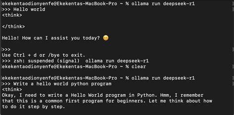 How To Add And Use Deepseek R1 In Your Visual Studio Code For Free
