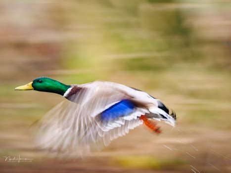 Ways To Capture Blur Or The Illusion Of Blur In A Photo Fstoppers