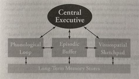Memory Flashcards Quizlet