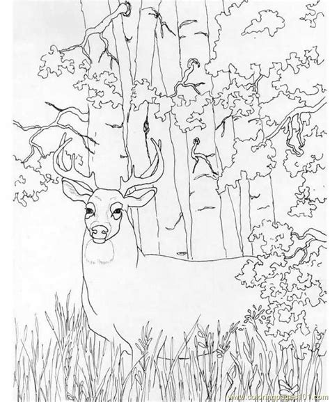 Adult Coloring Pages Deer Head Coloring Pages