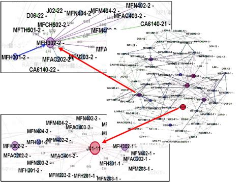 Weighted Self Regulation Variance Propagation Network Download