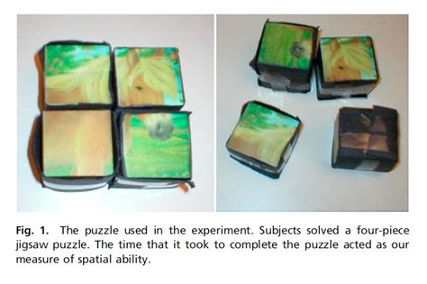 Sex Society And Spatial Ability Sociological Images