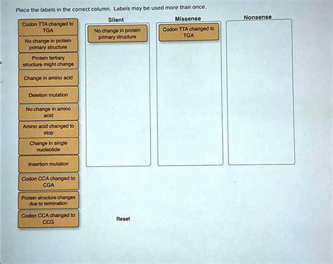 Solved Place The Labels In The Correct Column Labels May Be Used More Than Once Silent No