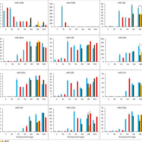 Schematic Representation Of Expression Patterns Of Mirnas During Early