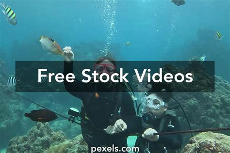 Ukdevilzschool Videos Download The Best Free 4k Stock Video Footage And Ukdevilzschool Hd Video