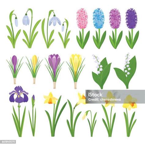 봄 꽃입니다 붓 꽃 크 로커 스 Narcissuses 튤립 골짜기의 백합 그리고 다른 앵 흰색 배경에 고립 된 정원 디자인 아이콘 0명에 대한 스톡 벡터 아트 및 기타