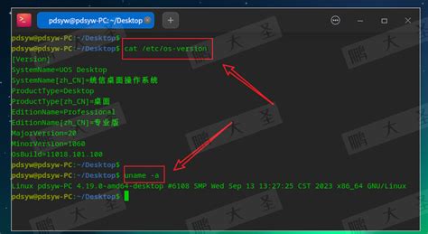 国产操作系统上apt命令详解 统信 麒麟 中科方德uos Apt Csdn博客
