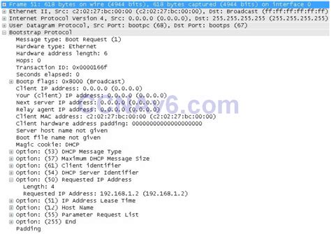 Section 14 Dhcp And Dns Section 14 Dhcp And Dns