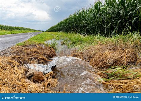 Storm Water Flowing In Ditch Between Road And Farm Field Stock Image
