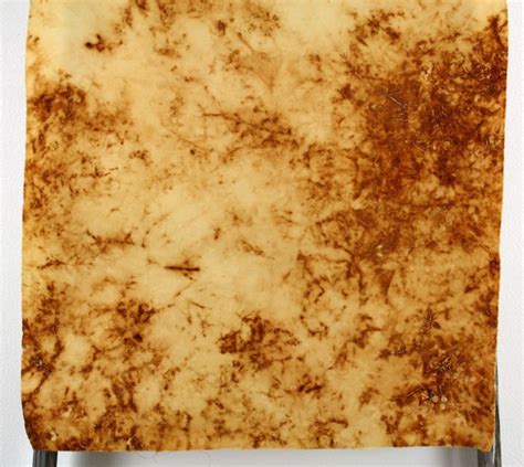 Rust Dyed Fabric By Art Quilt Textiles