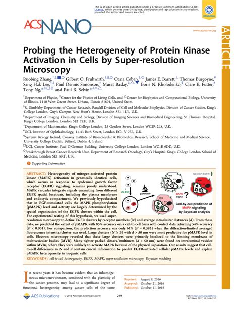 Pdf Probing The Heterogeneity Of Protein Kinase Activation In Cells By Super Resolution Microscopy