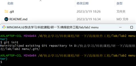 Lab在VS Code中配置go编译调试环境编写menu项目110 CSDN社区