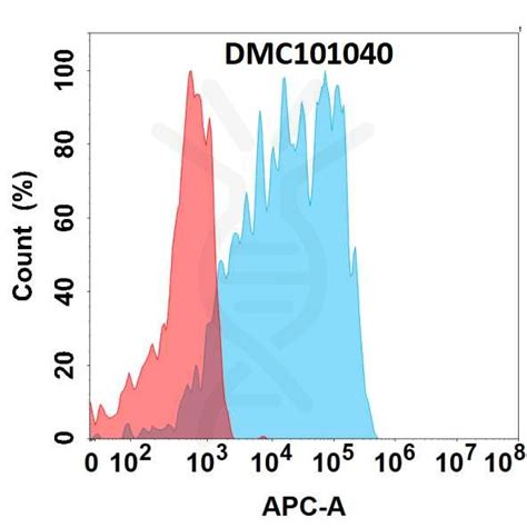 Anti Egfrviii Antibody 2e12 Igg1 Chimeric Mab 专注肿瘤免疫