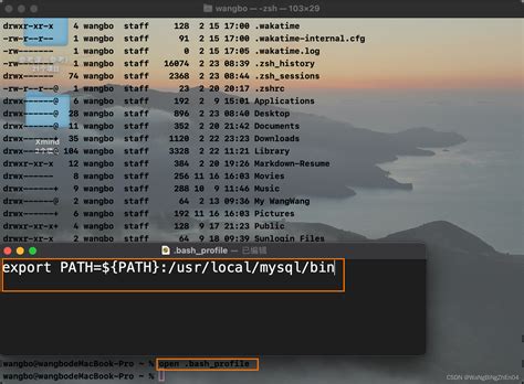 Macos安装mysql后如何在终端配置环境变量mac 配置mysql8环境变量 Csdn博客