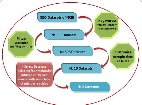 Flow Chart Of The Protocol Used For The Search Of Breast Cancer Download Scientific Diagram