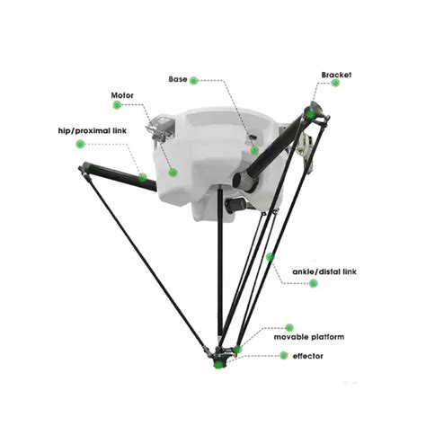 Fully Automatic Delta Robot Pick And Place Case Packing System For
