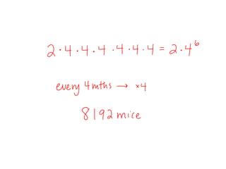 Exploring Exponential Functions PPT