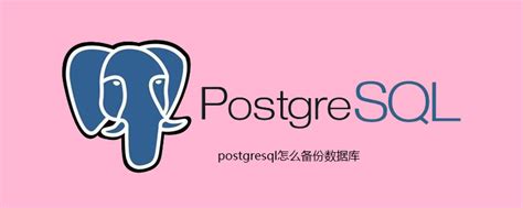 Postgresql怎么备份数据库 Python基础教程