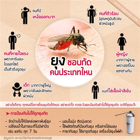Infographic รูปภาพ สุขภาพ ยุง ชอบกัดคนประเภทไหน