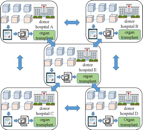 figure 6 from survey on organ allocation algorithms and blockchain