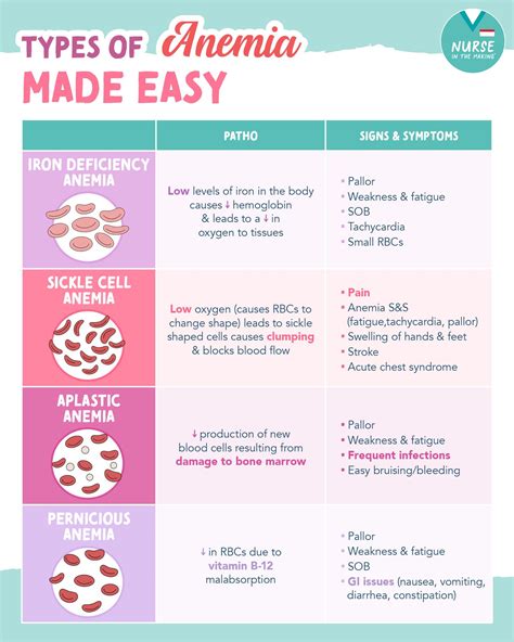 Types Of Anemia Made Easy 🩸iron Nurse In The Making