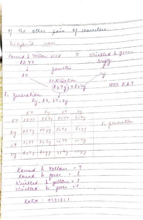 Biology Principles Of Inheritance And Variation Class 12 Ncert Pdf Handwritten Notes Shop