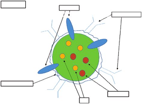 Schematic Representation Of An Ideal Nanocarrier Download Scientific