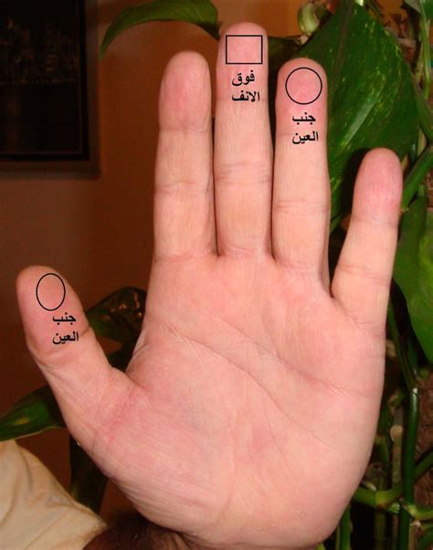 الاصابع المستعملة