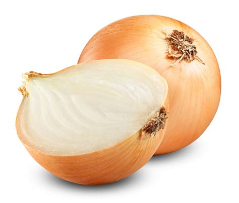 Cebolla Un Súper Alimento Diurético Y Antibiótico