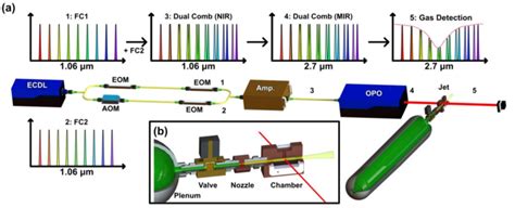 A The Optical Parametric Oscillator Based Mid Infrared Dual Comb Download Scientific Diagram